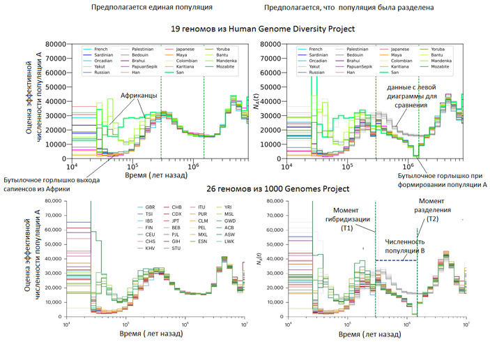 300 тысяч лет назад наши предки получили 20% генов от другого вида людей (elementy.ru) - Находки ...